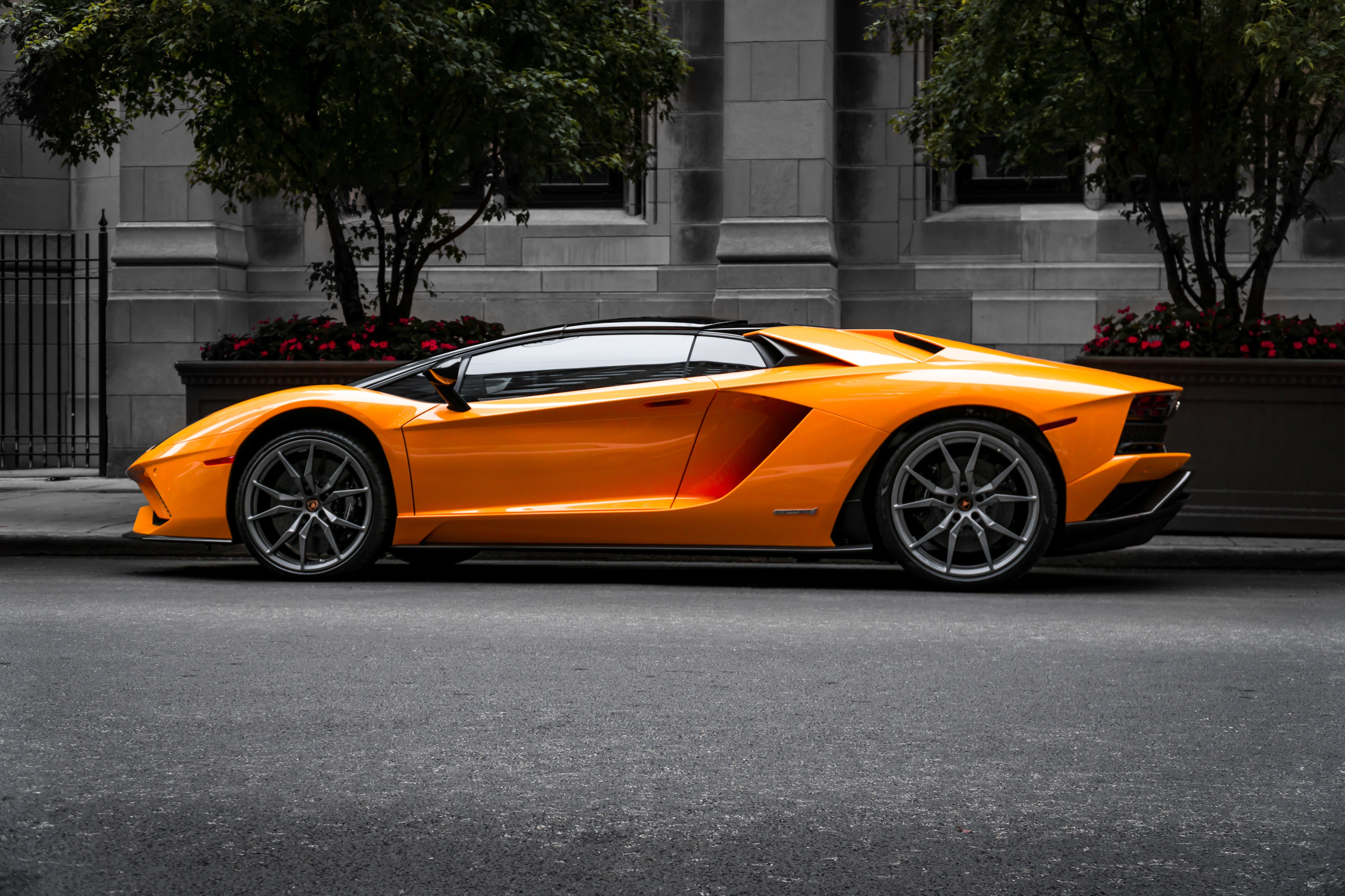 Kits – AutoRenu Premium Car Care Products for Professional Detailing ...